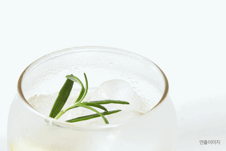 [CJ제일제당] 백설 리얼 레몬청 310ml x 2개 | CJ제일제당 대한민국