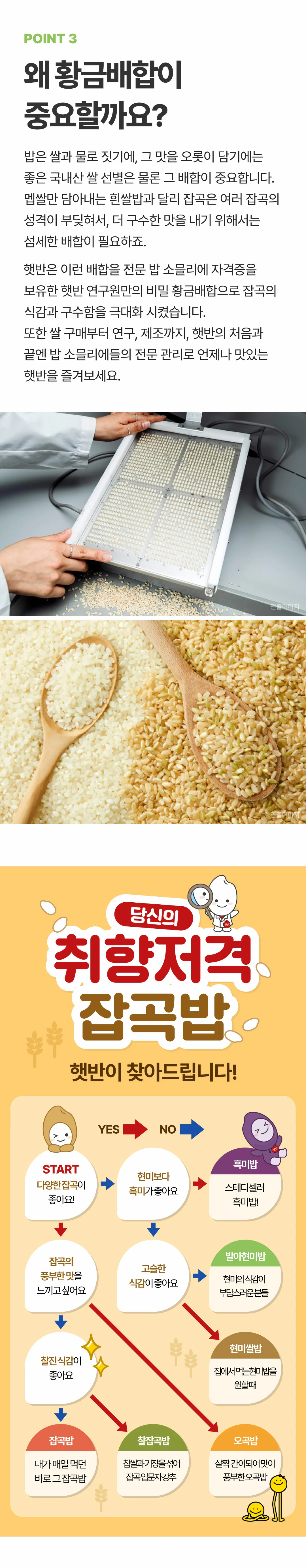 햇반 발아현미밥 210gx3입 | 상품상세 | CJ더마켓 - CJ제일제당 공식몰